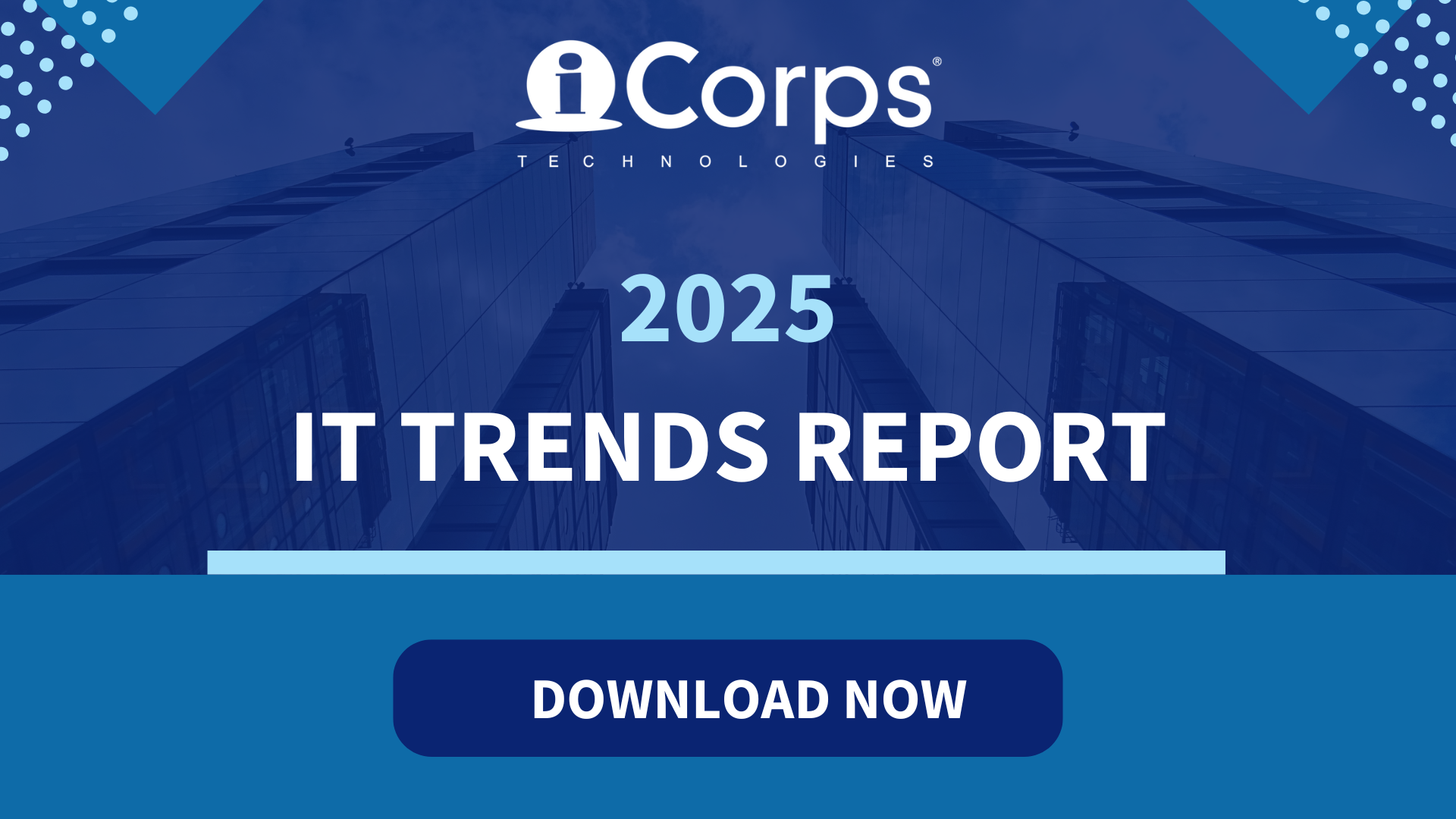 2025 IT Trends Report